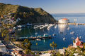 Catalina Island Photos | Ron Niebrugge Photography