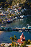 Catalina Island Photos | Ron Niebrugge Photography