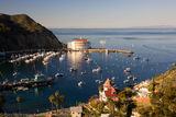 Catalina Island Photos | Ron Niebrugge Photography