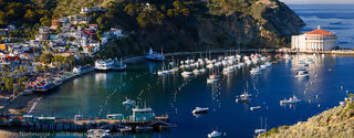 Catalina Island Photos | Ron Niebrugge Photography