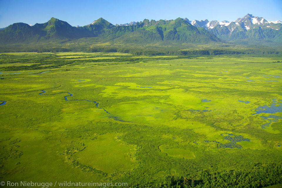 Copper River Delta | Ron Niebrugge Photography