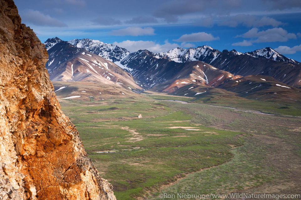 Polychrome Pass | Denali National Park, Alaska. | Ron Niebrugge Photography
