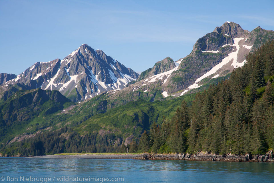 Aialik Bay | Ron Niebrugge Photography