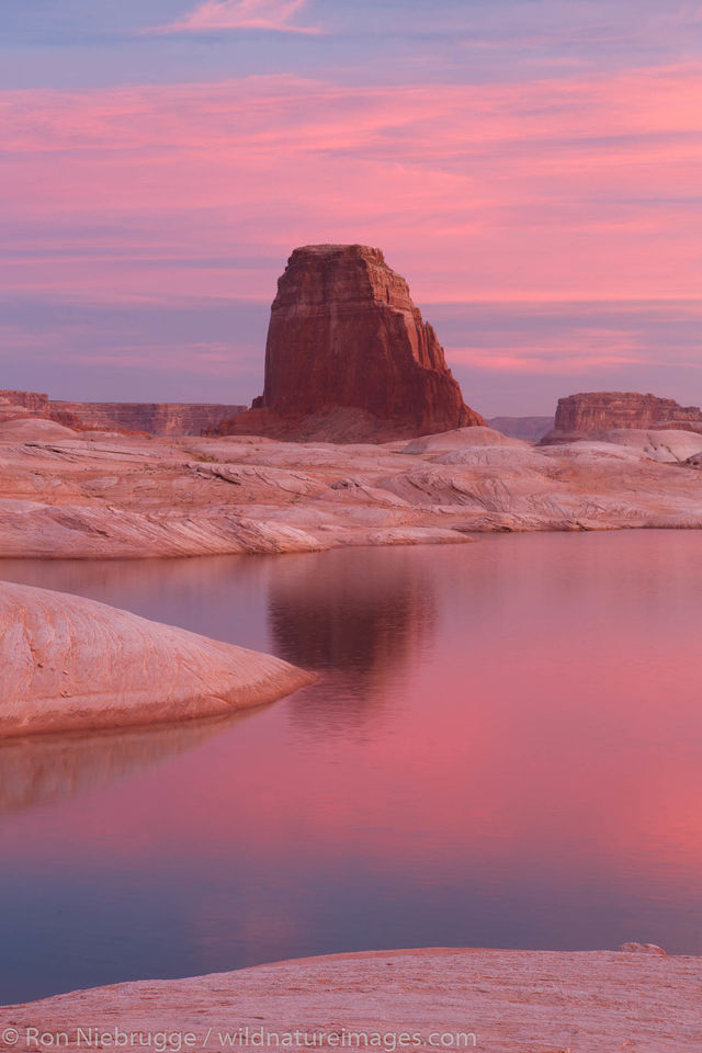 Page - Lake Powell | Ron Niebrugge Photography