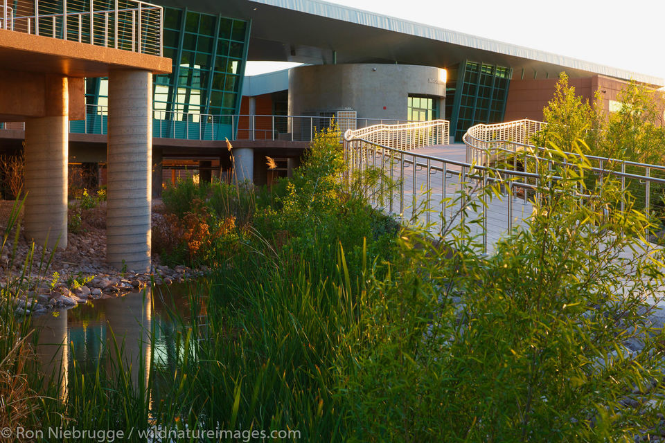 Nature Center | Ron Niebrugge Photography