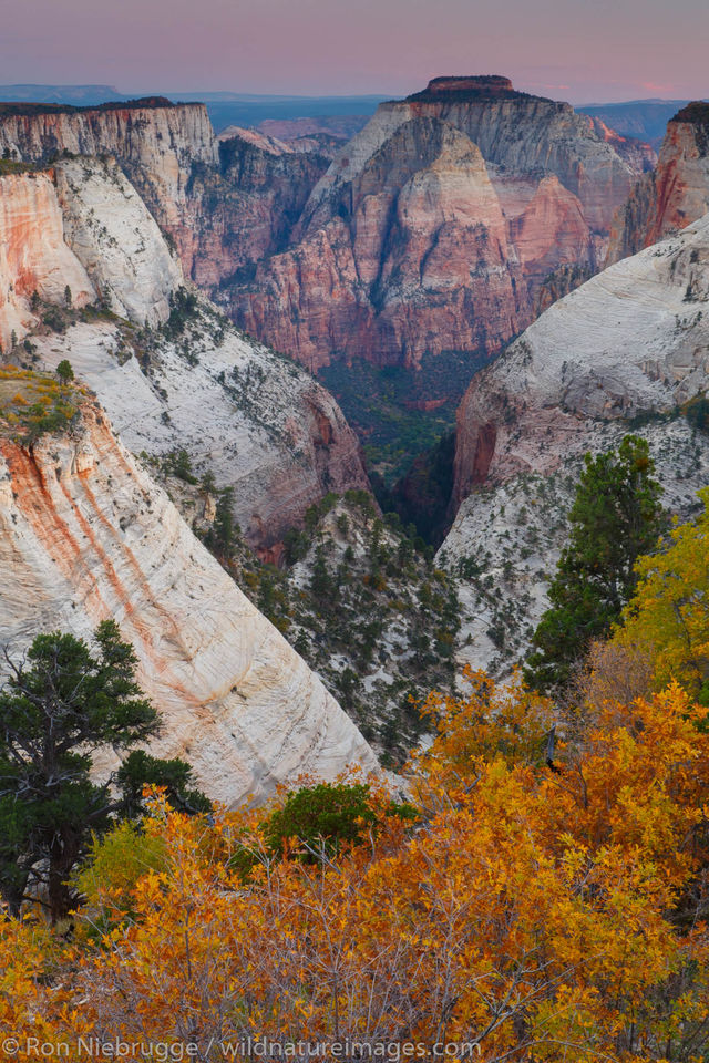 West Rim Trail | Zion National Park, Utah. | Ron Niebrugge Photography
