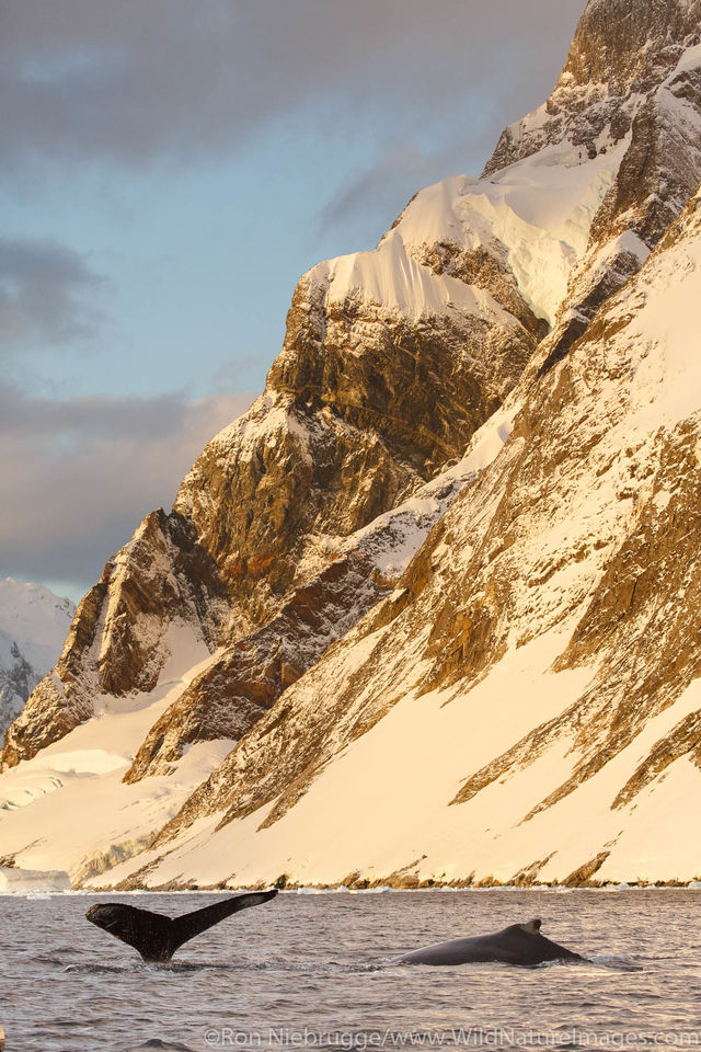 Lemaire Channel | Ron Niebrugge Photography