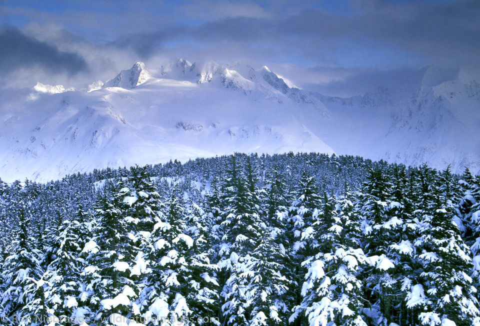 Morning after fresh snowfall Lost Lake Cabin | Chugach National Forest ...