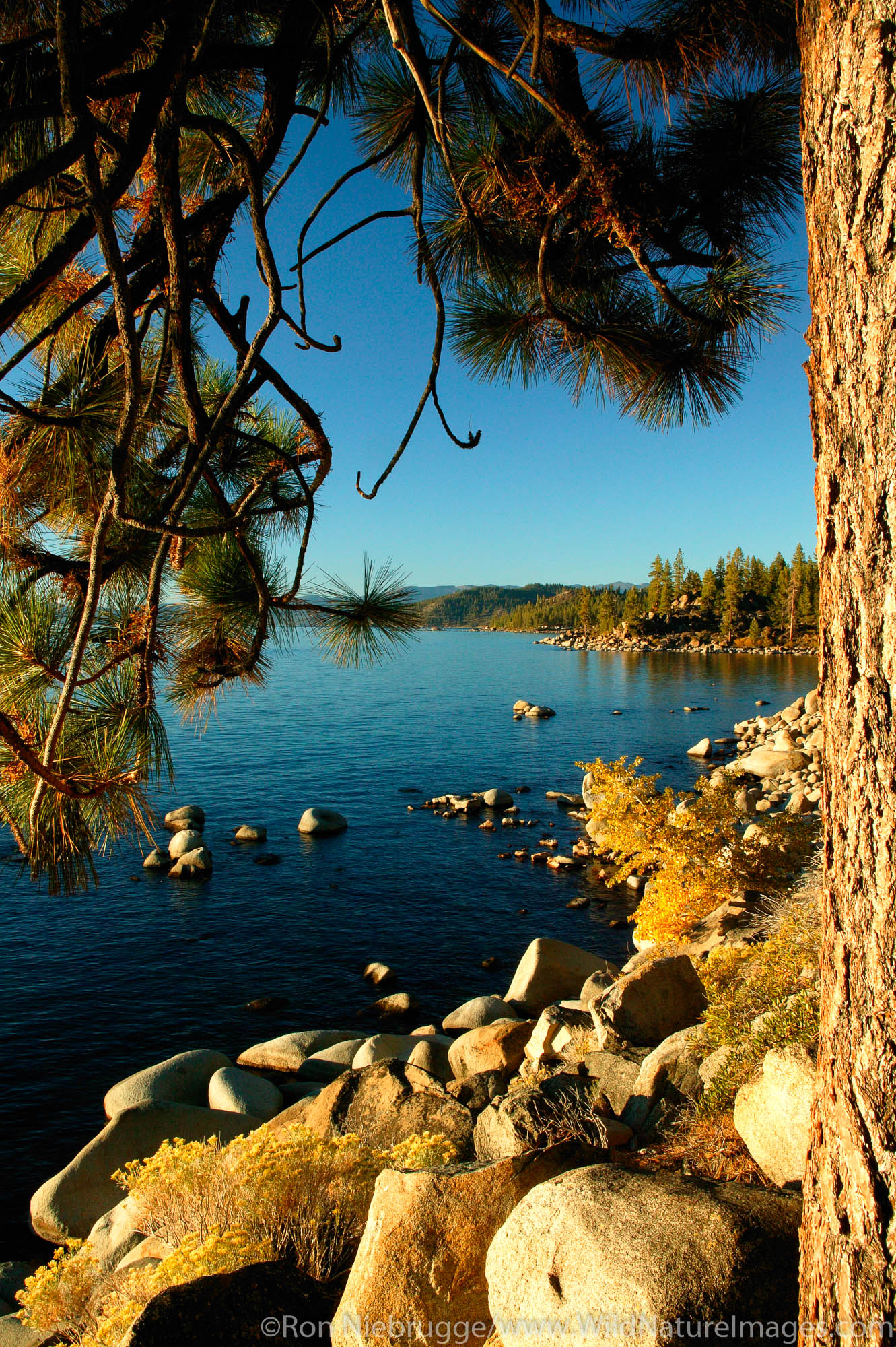 Nevada / California State Line | Lake Tahoe | Photos by Ron Niebrugge