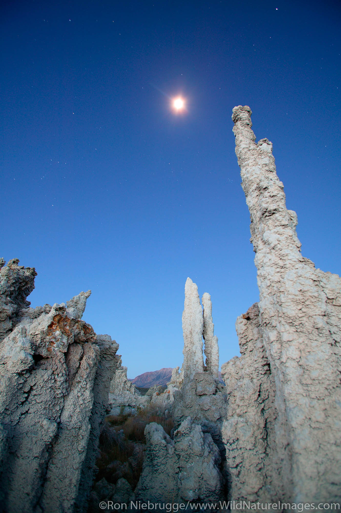 Mono Lake | Eastern Sierras, California. | Photos by Ron Niebrugge