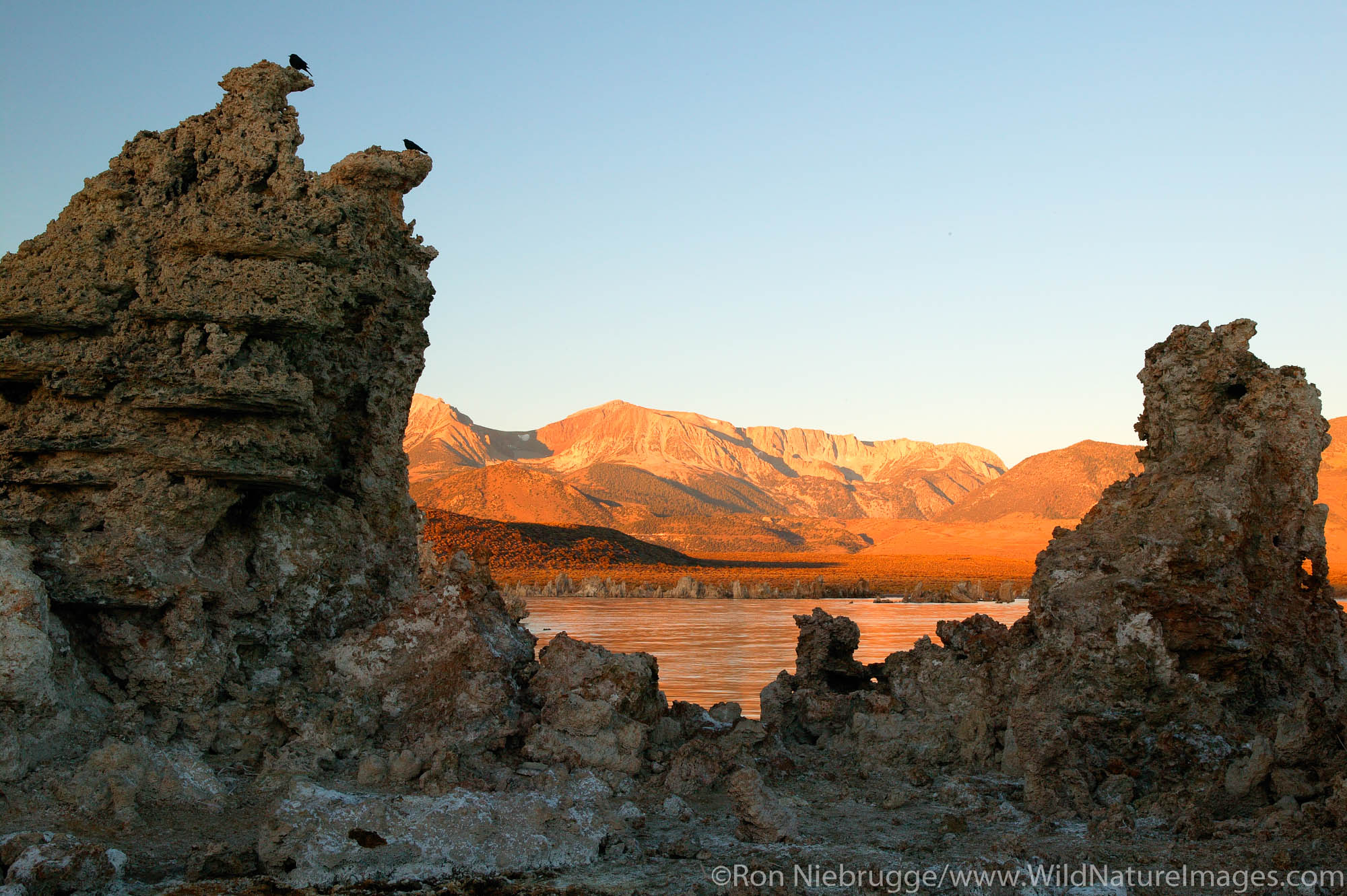 Mono Lake | Eastern Sierras, California. | Photos by Ron Niebrugge