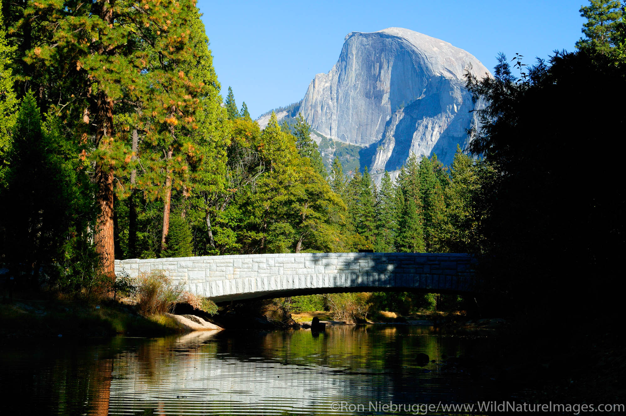Merced River | Photos by Ron Niebrugge