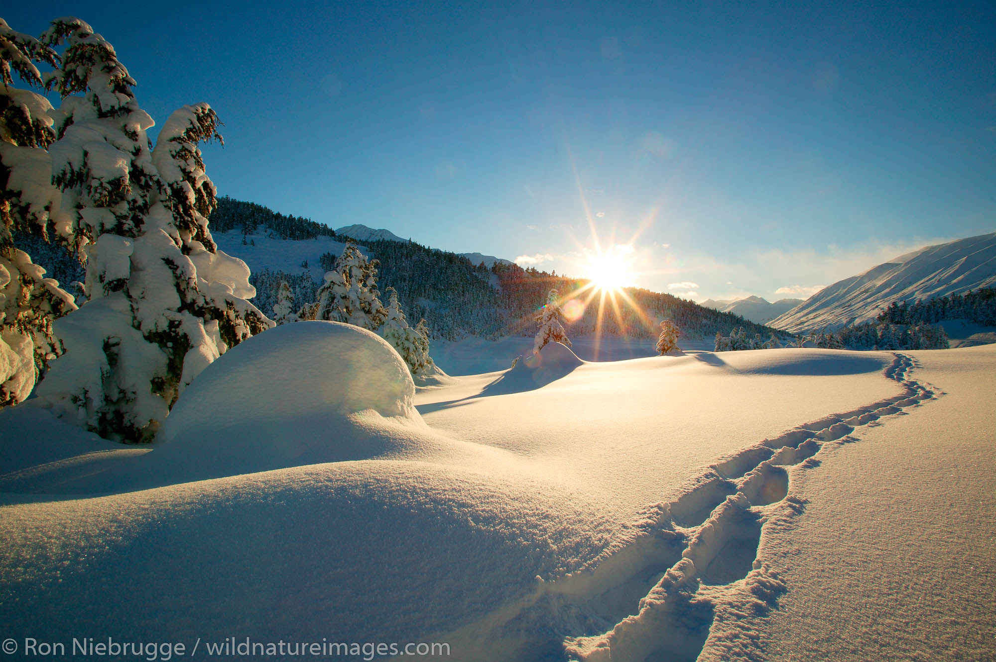 Turnagain Pass | Photos by Ron Niebrugge