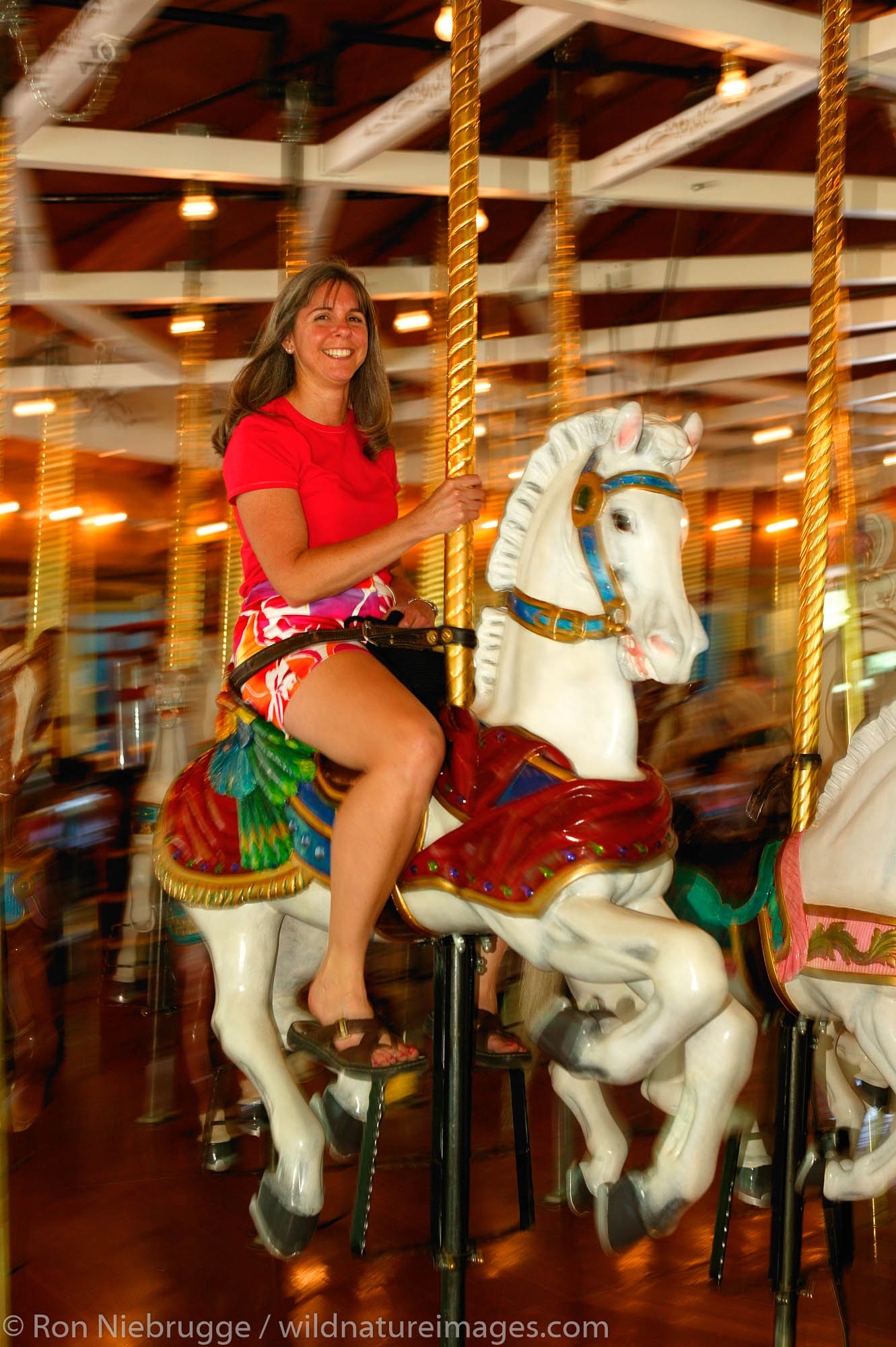 Carrousel | Photos by Ron Niebrugge