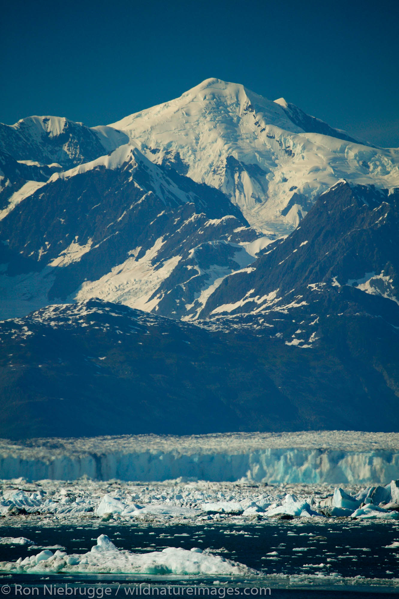 Columbia Glacier | Photos by Ron Niebrugge