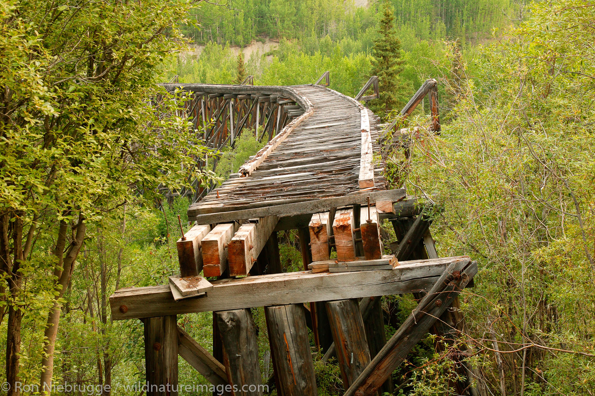 Gilahina railroad trestle | Photos by Ron Niebrugge