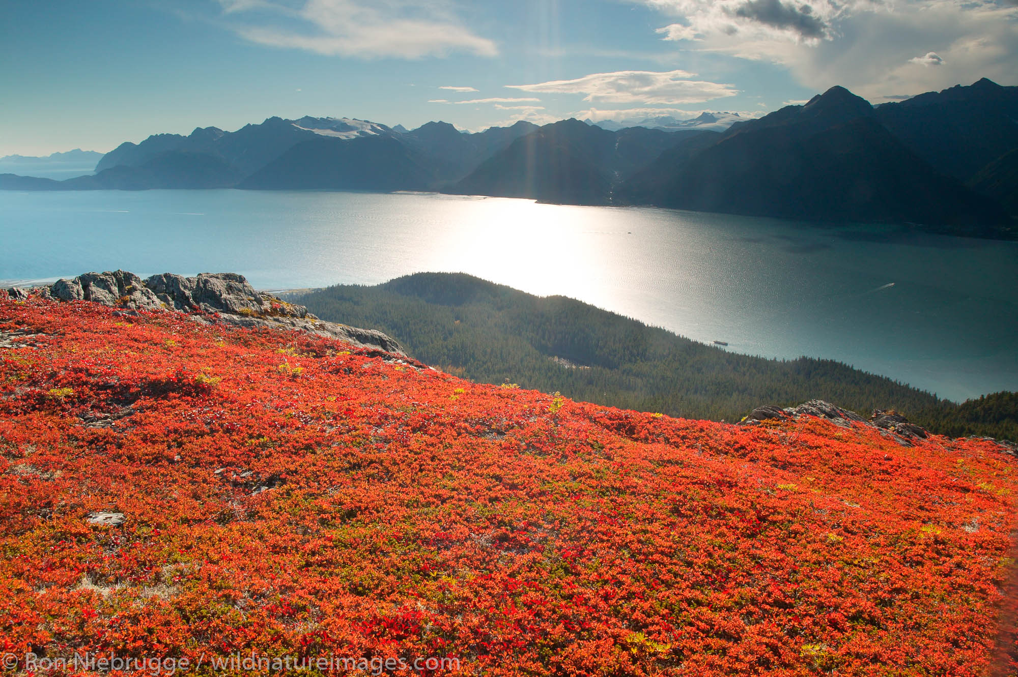 Fall Colors on Mount Alice | Photos by Ron Niebrugge