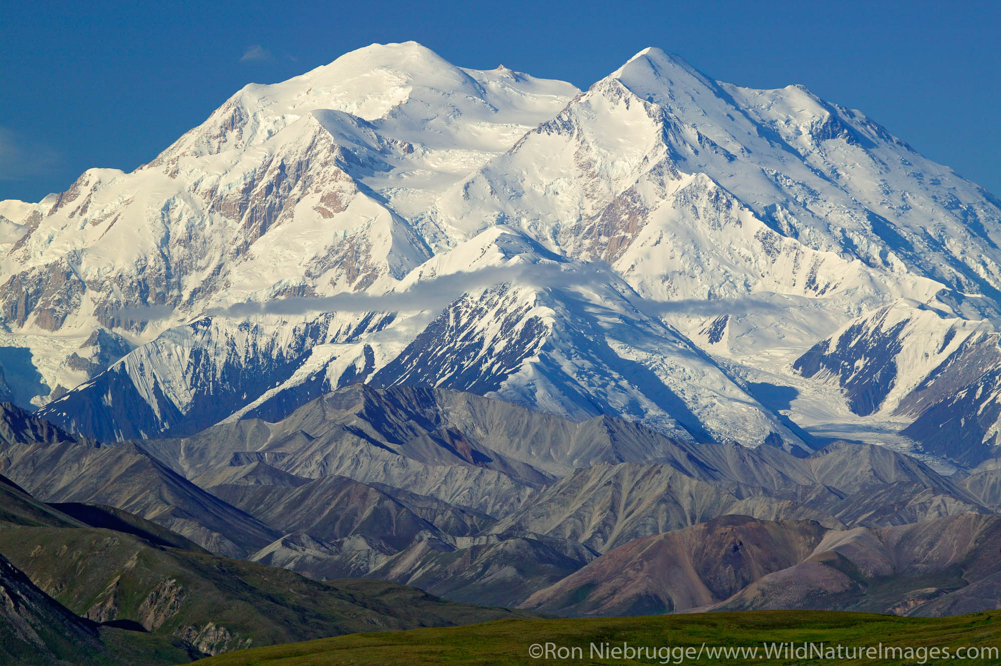 Mt Denali Denali National Park Alaska Photos By Ron Niebrugge Mt Denali Denali National Park Alaska Photos By Ron Niebrugge