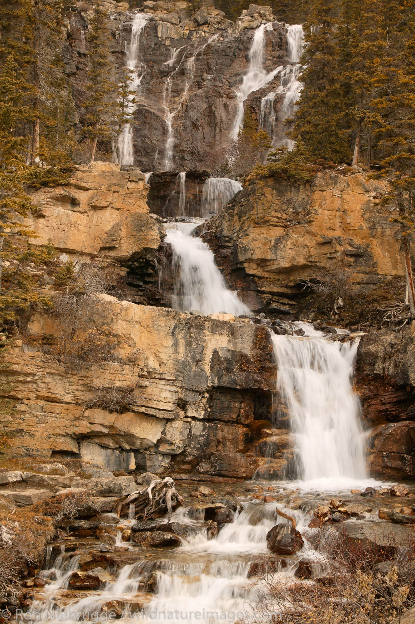 Jasper National Park | Photos by Ron Niebrugge