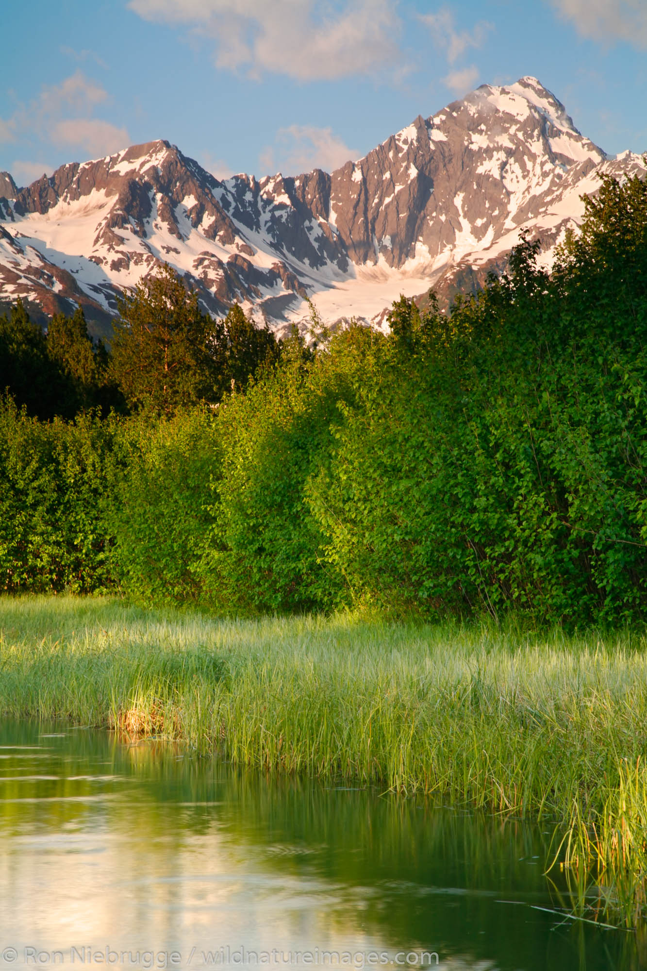 Mount Alice | Photos by Ron Niebrugge