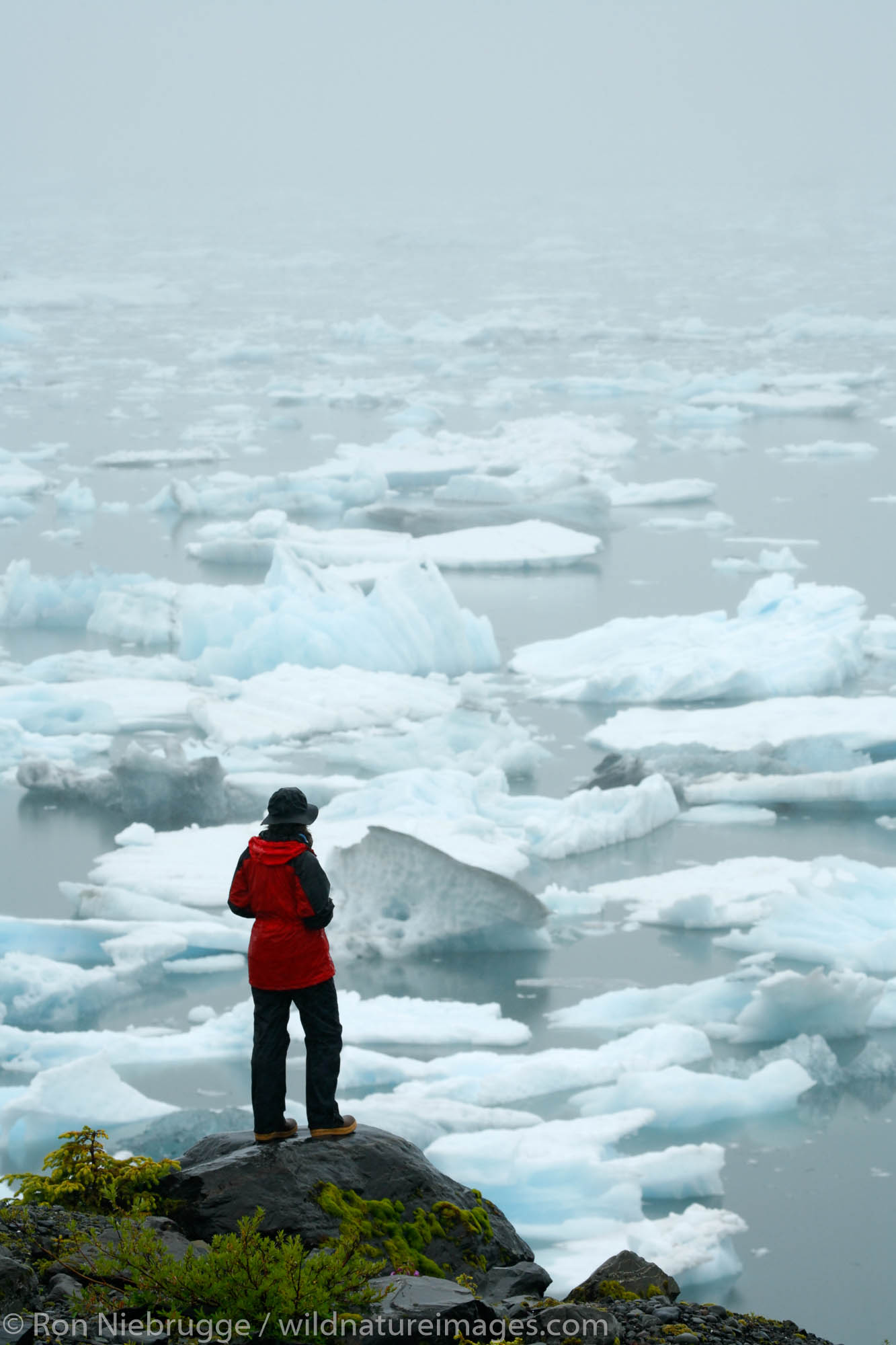 Prince William Sound | Photos by Ron Niebrugge
