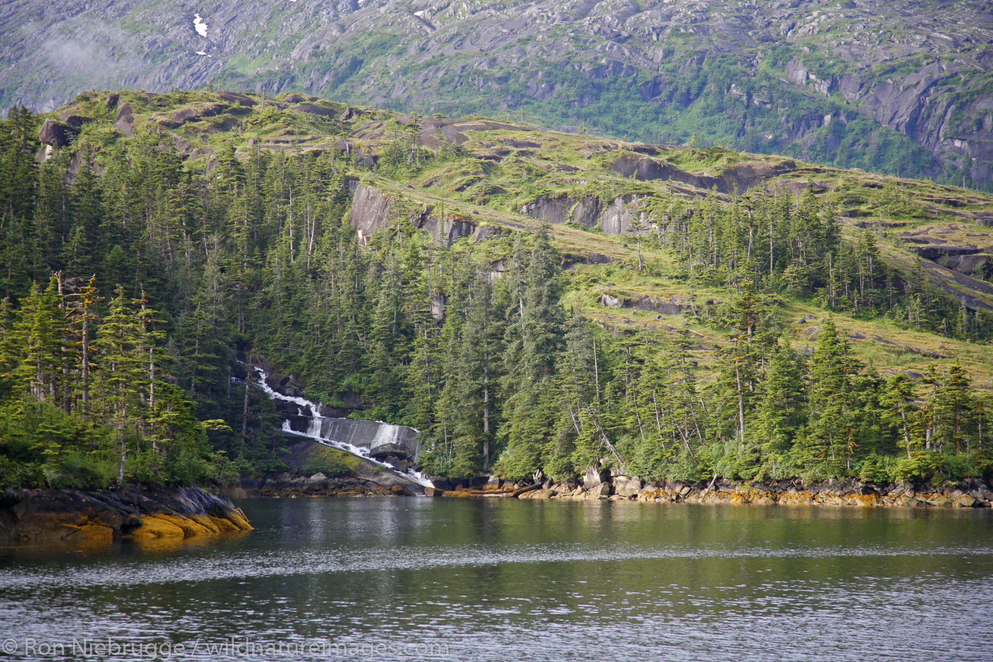 Prince William Sound | Photos by Ron Niebrugge