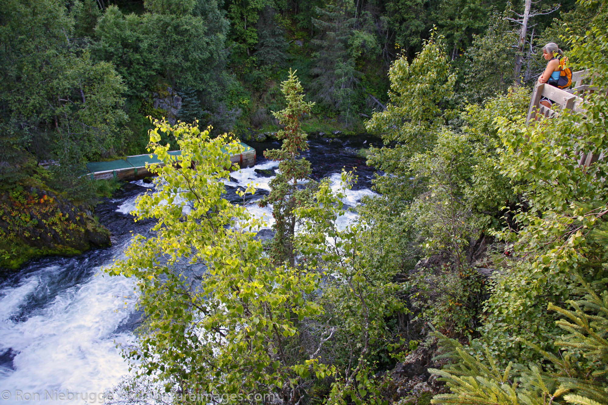 Russian River Falls | Photos by Ron Niebrugge