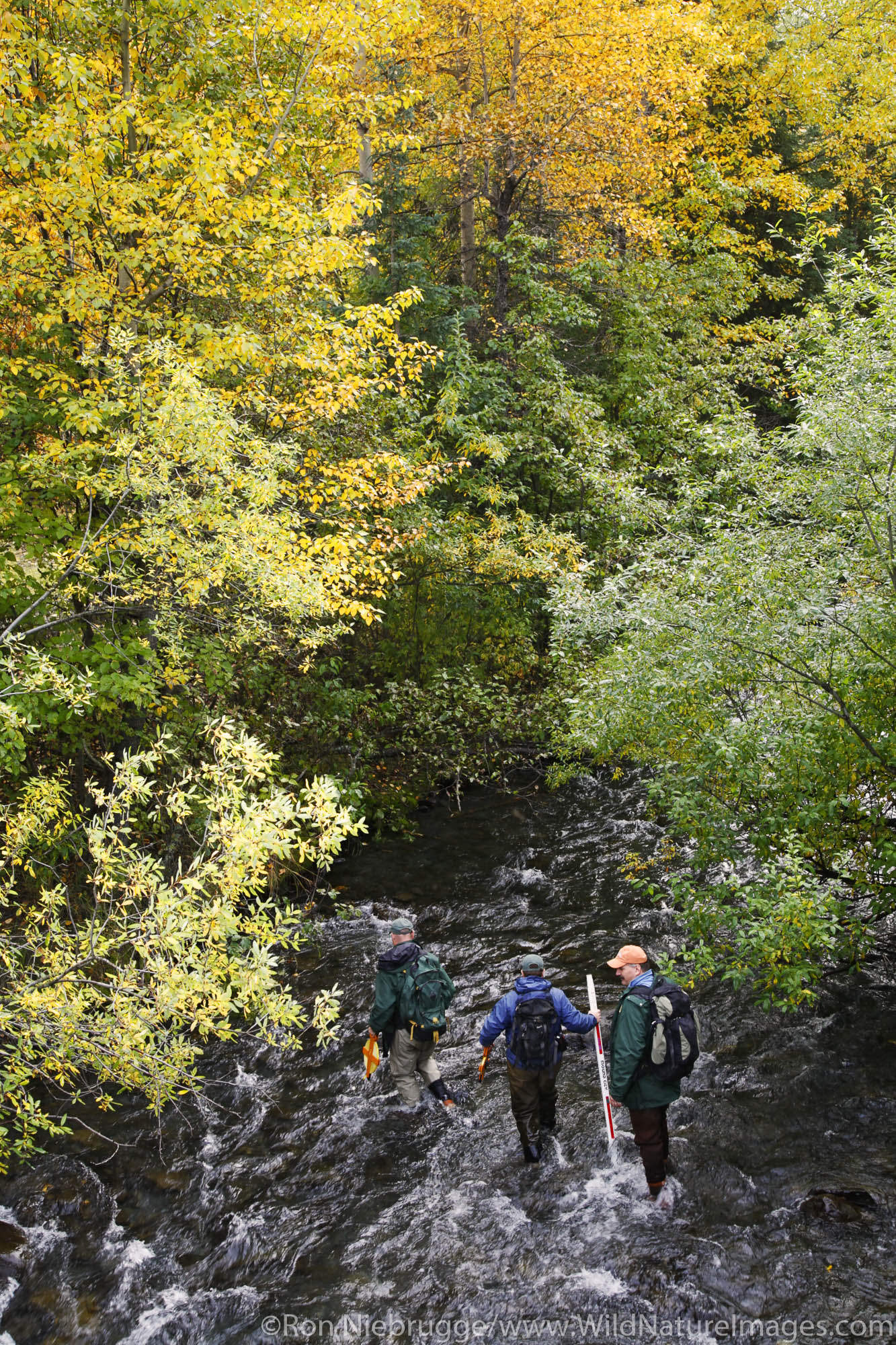 Stream Survey | Photos by Ron Niebrugge