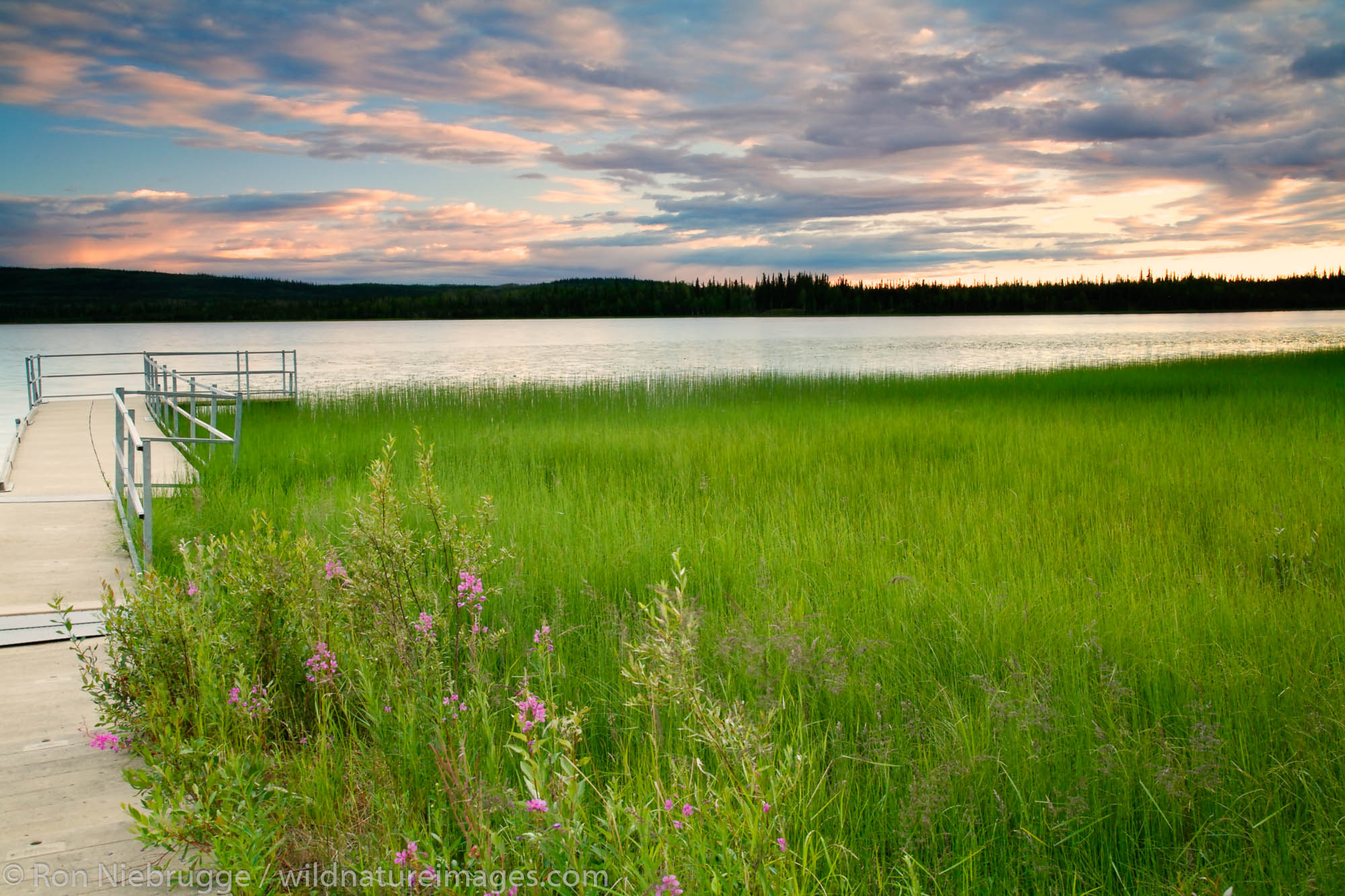 Tetlin National Wildlife Refuge | Photos by Ron Niebrugge