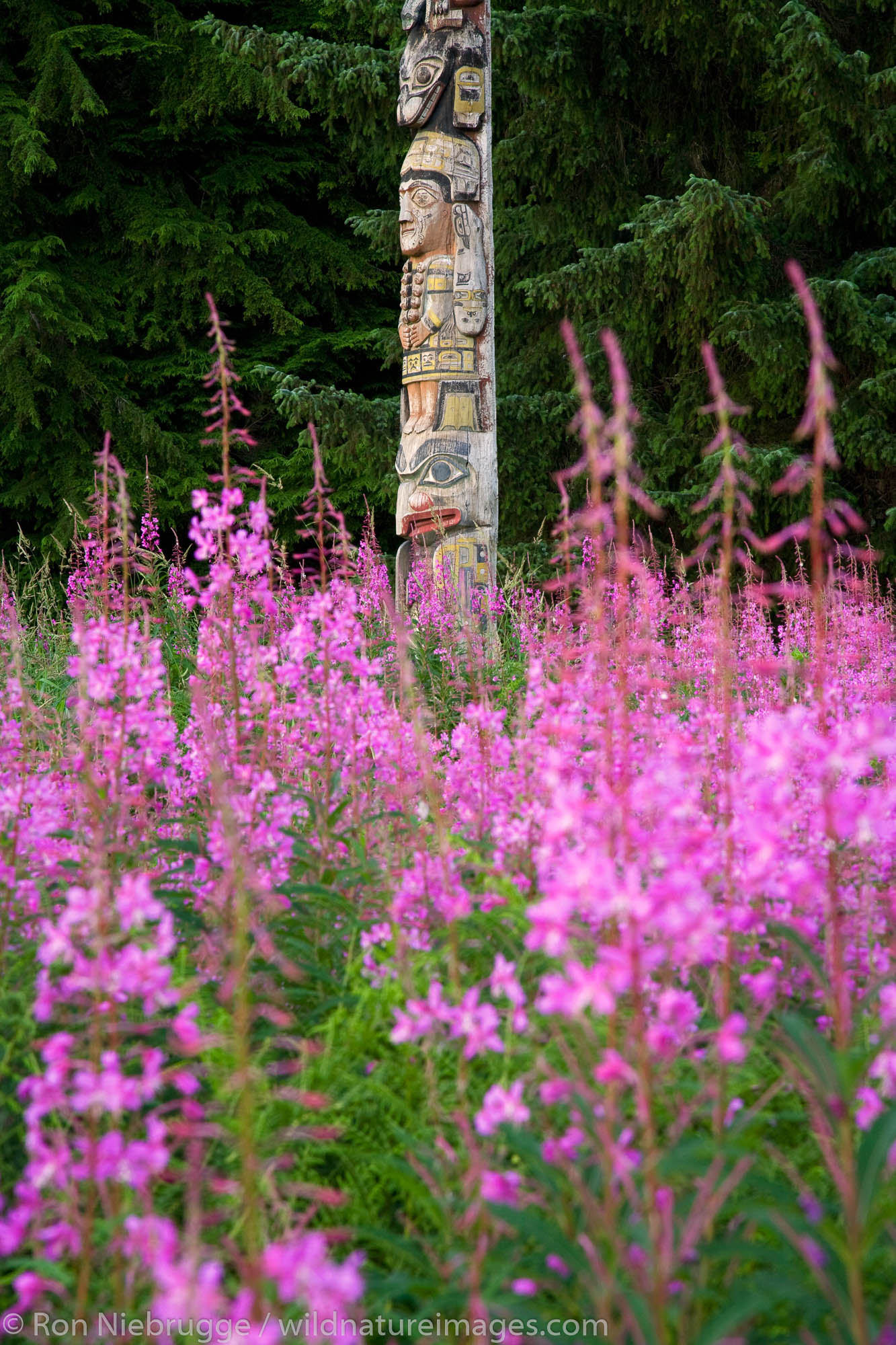 Totem Bight State Historical Park | Photos by Ron Niebrugge