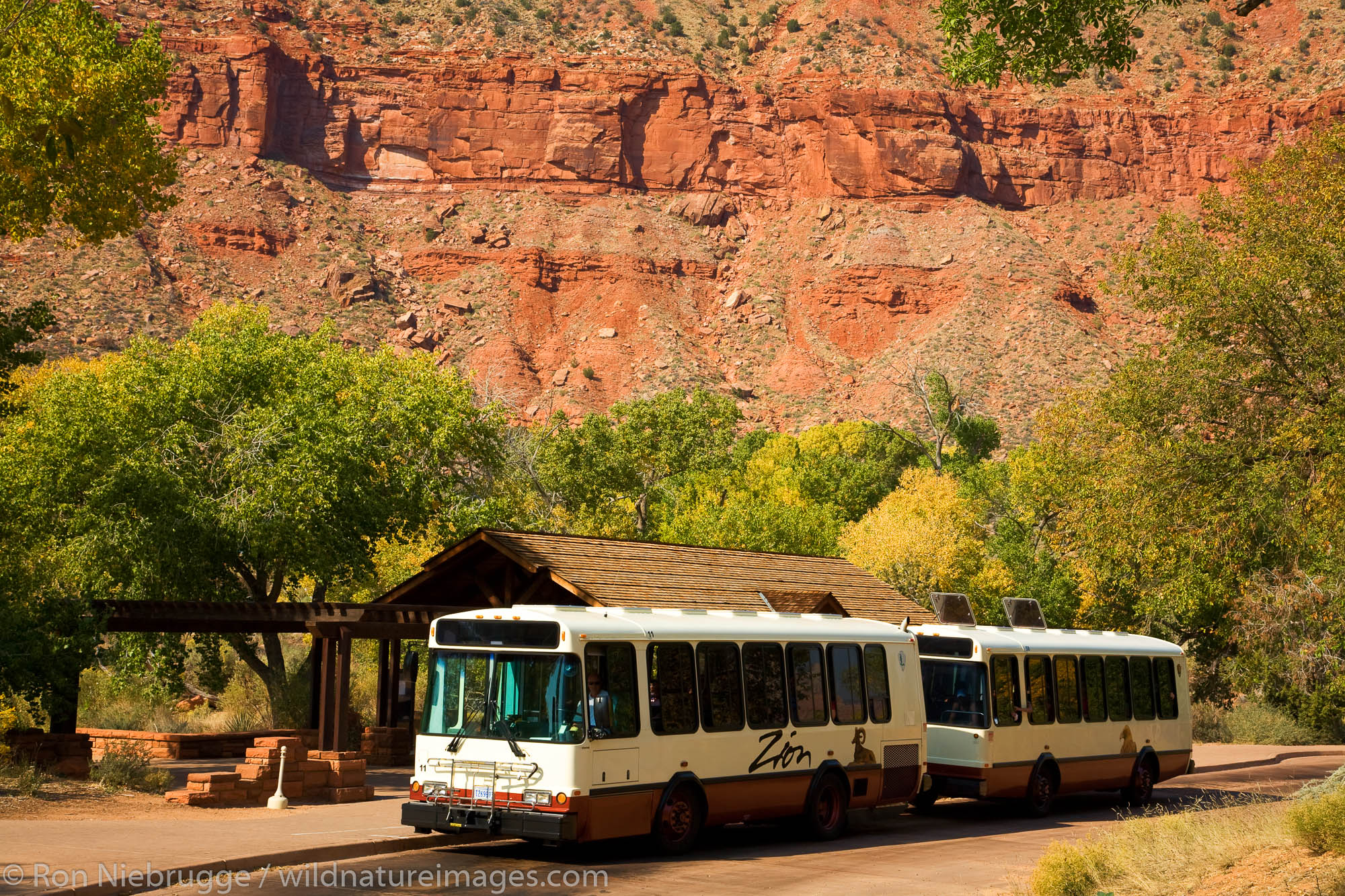 Shuttle Bus Zion National Park Photos By Ron Niebrugge Shuttle Bus Zion National Park Photos By Ron Niebrugge