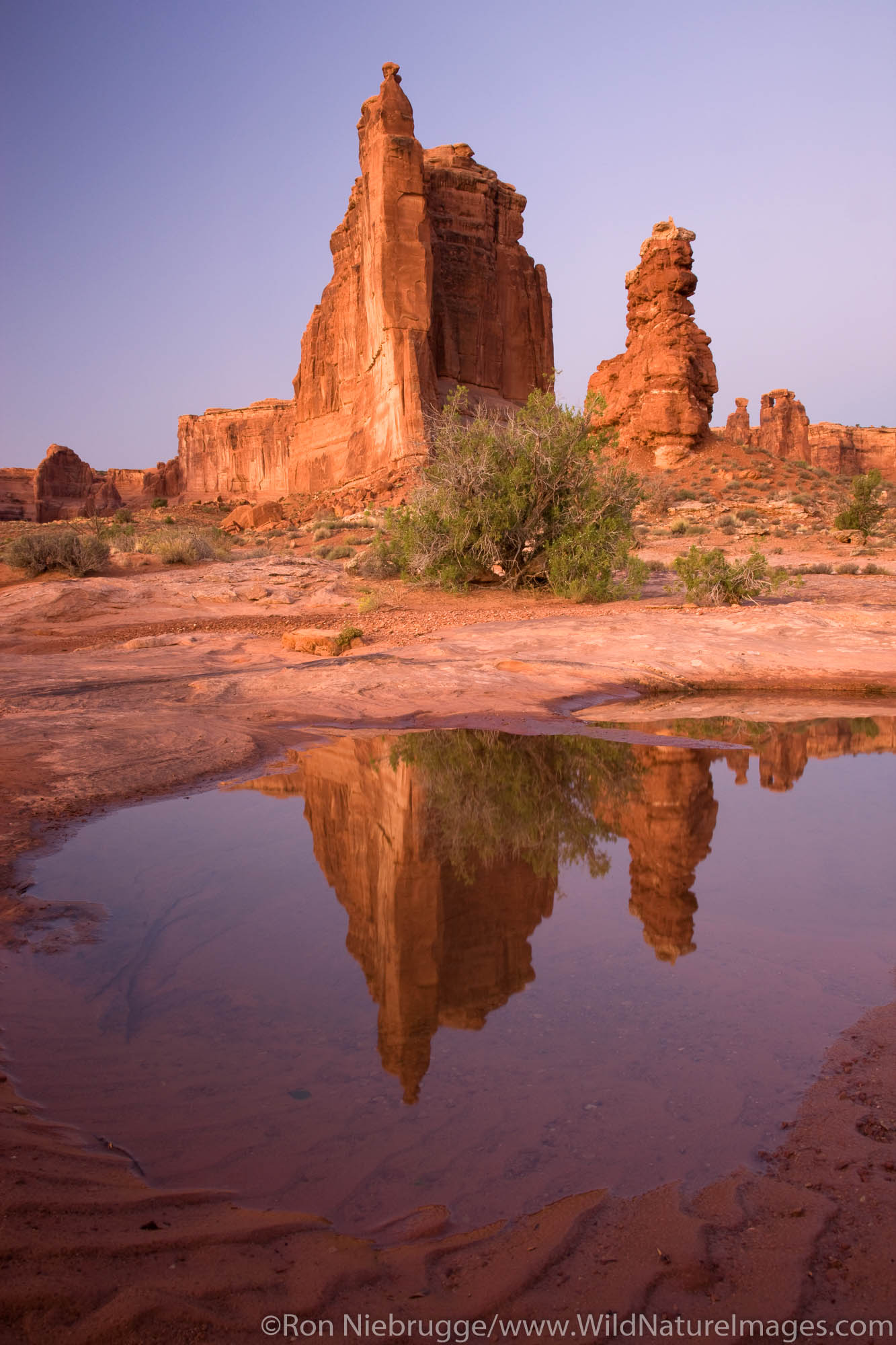 The Courthouse Towers | Photos by Ron Niebrugge