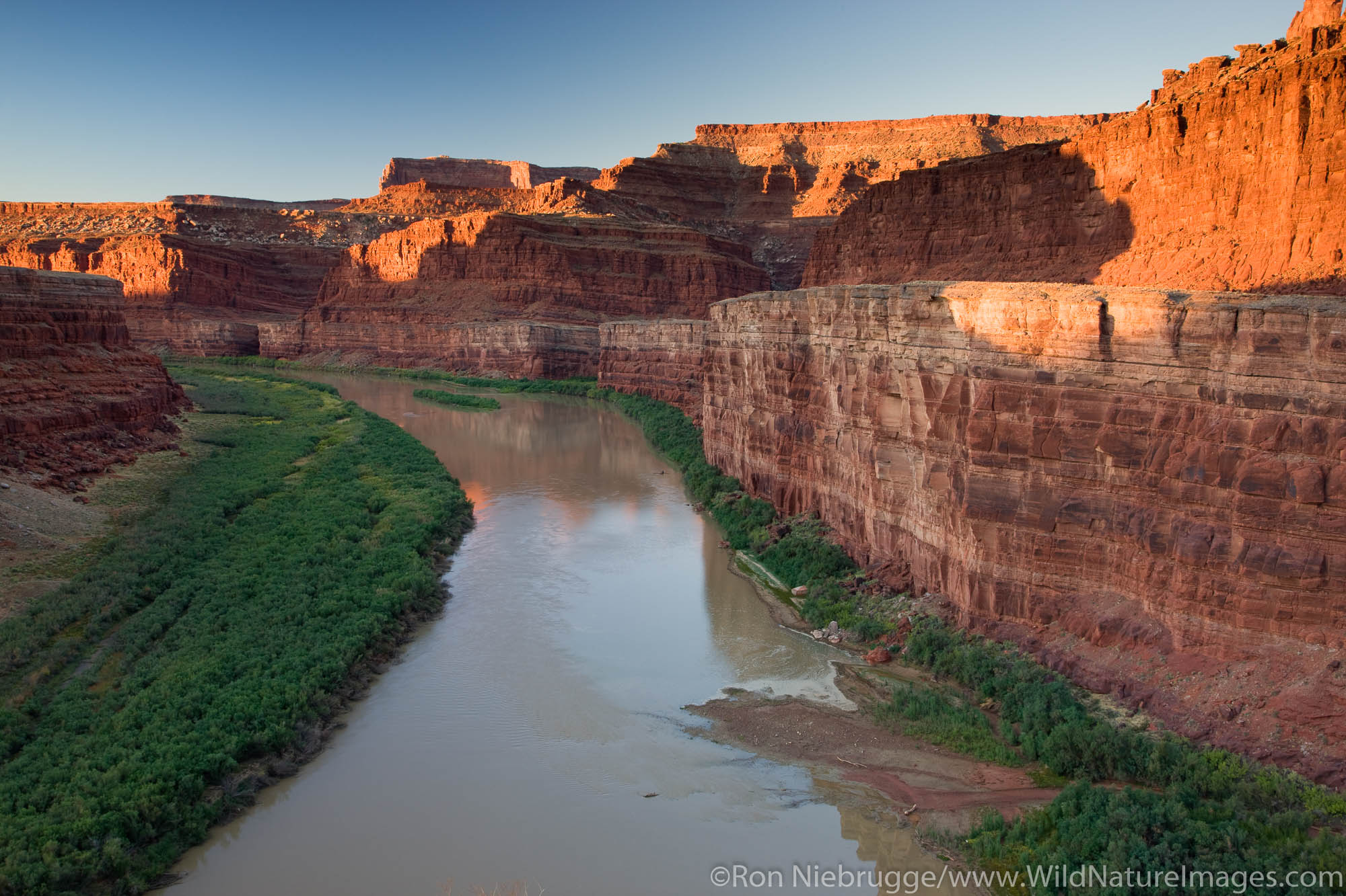 Colorado River | Photos by Ron Niebrugge