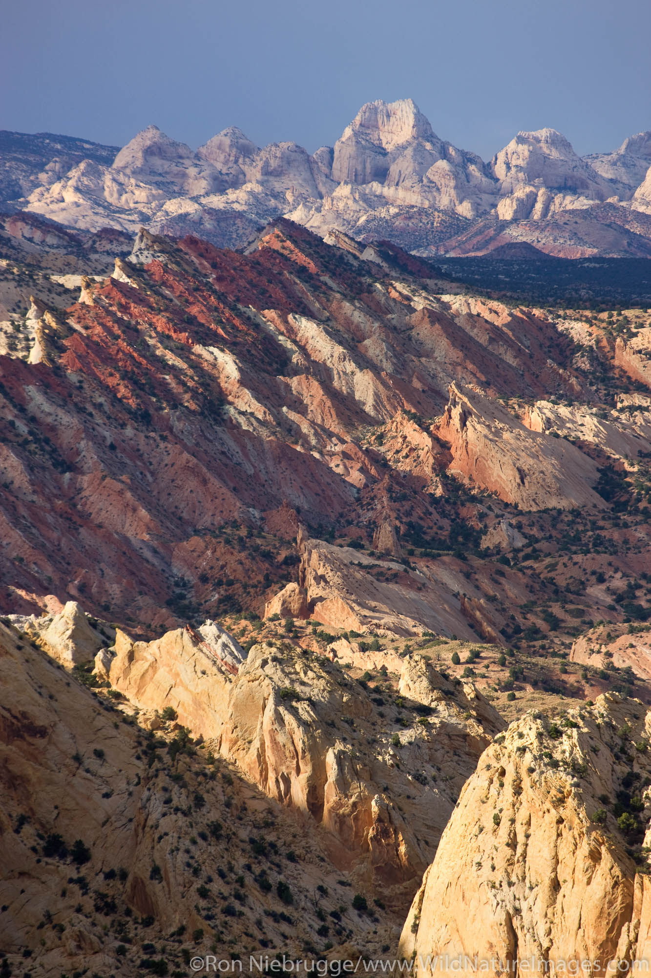 Waterpocket Fold | Capitol Reef National Park, Utah. | Photos by Ron ...