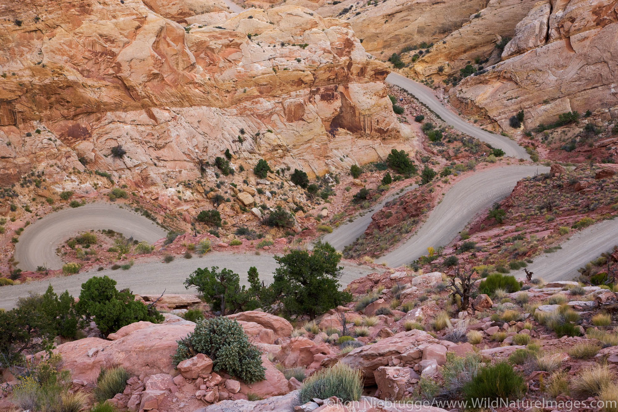The Burr Trail | Photos by Ron Niebrugge