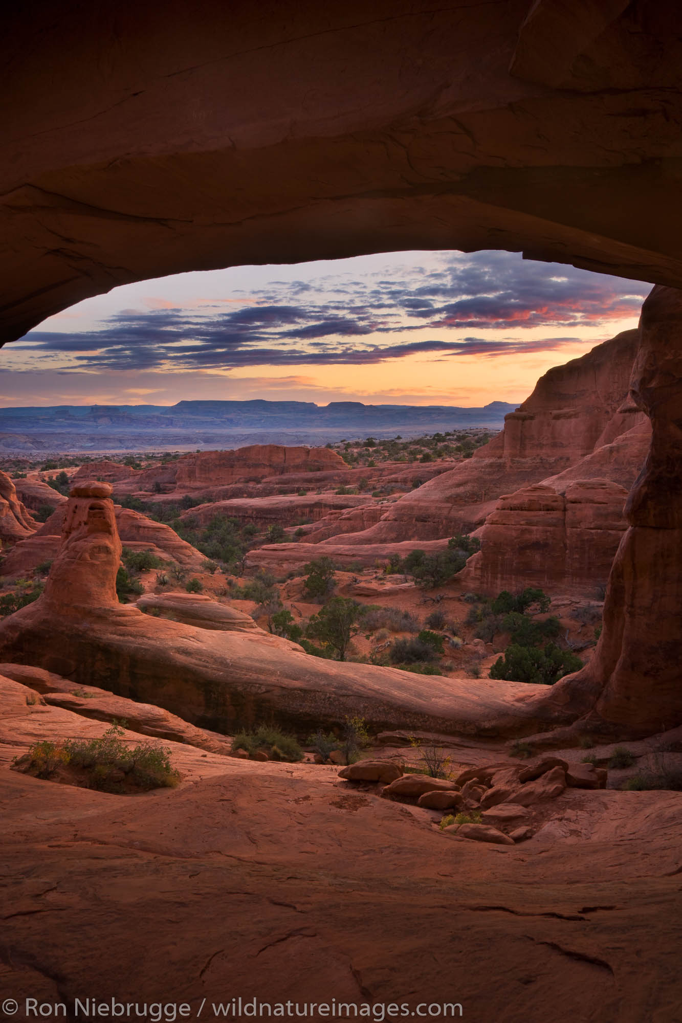 Tower, Arch, Arches National Park | Photos by Ron Niebrugge
