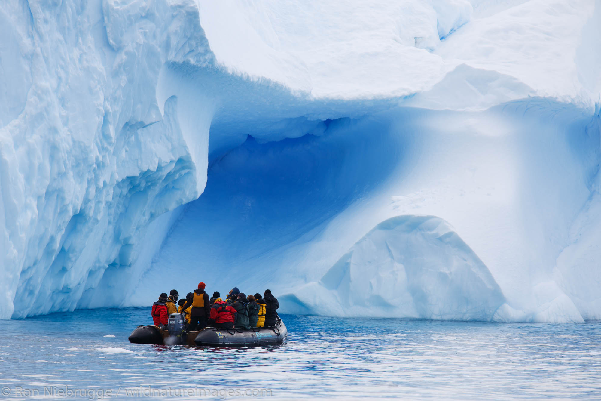 Cierva Cove, Antarctica | Photos by Ron Niebrugge