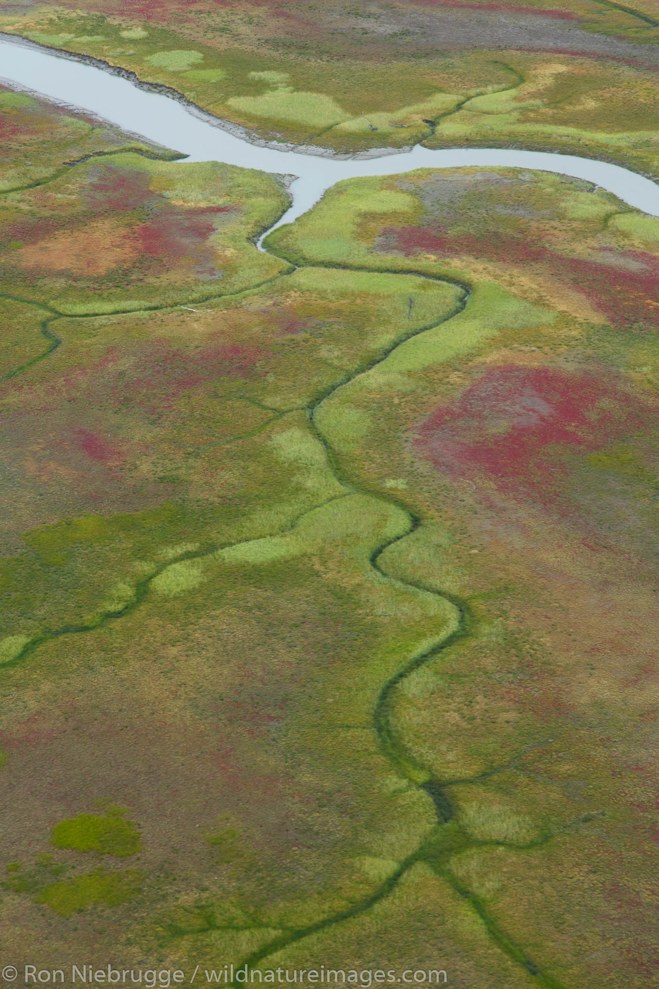 Cook Inlet | Photos by Ron Niebrugge