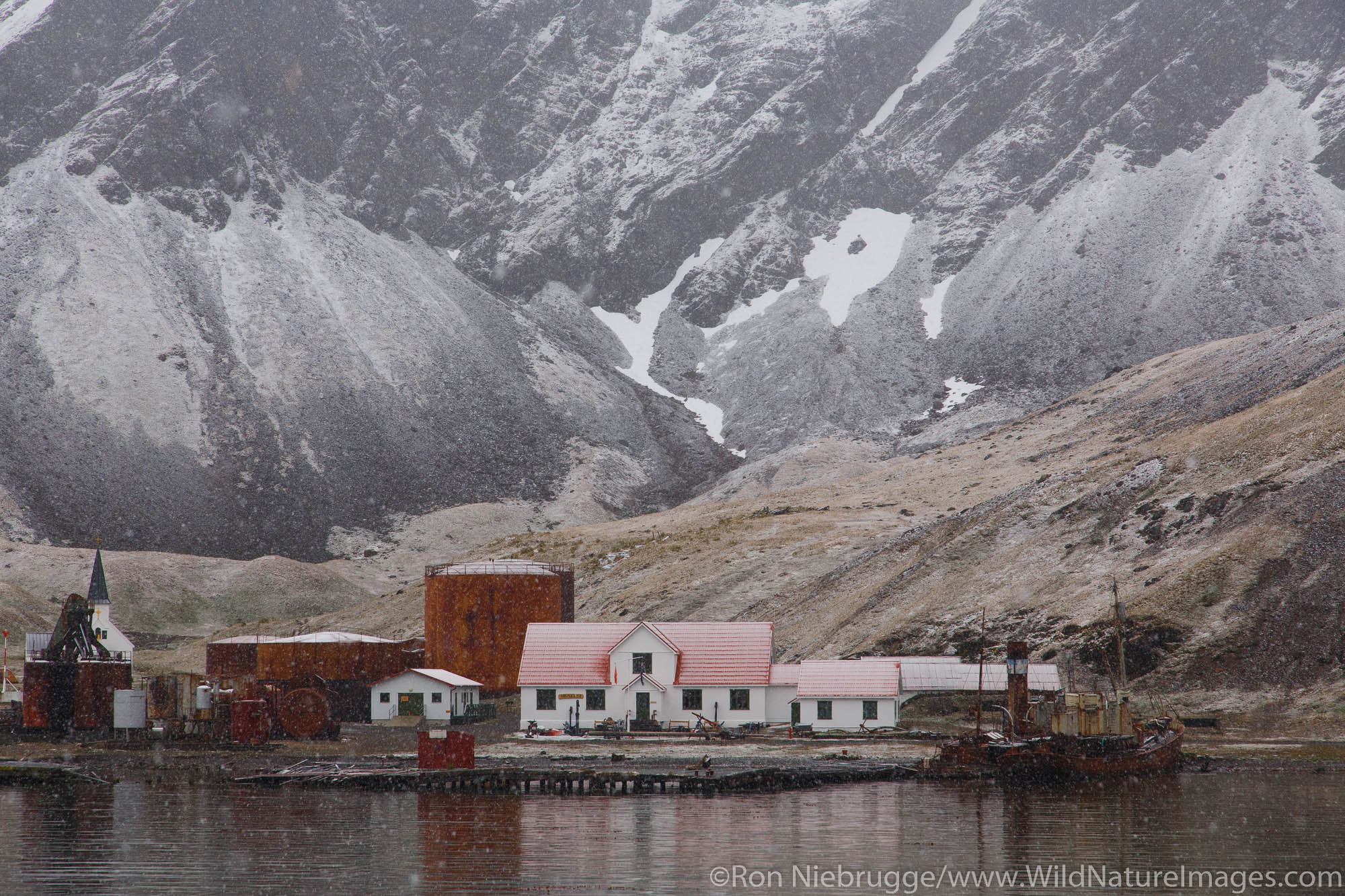 Grytviken | Antarctica | Photos by Ron Niebrugge