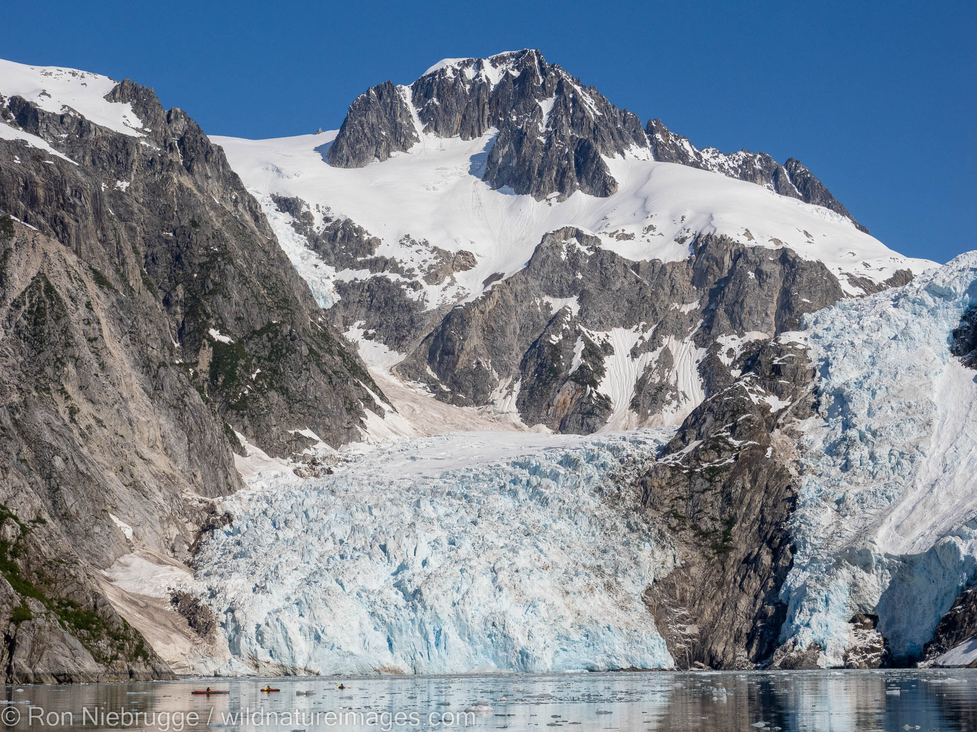 Kenai Fjords Trip 1 | Photos by Ron Niebrugge