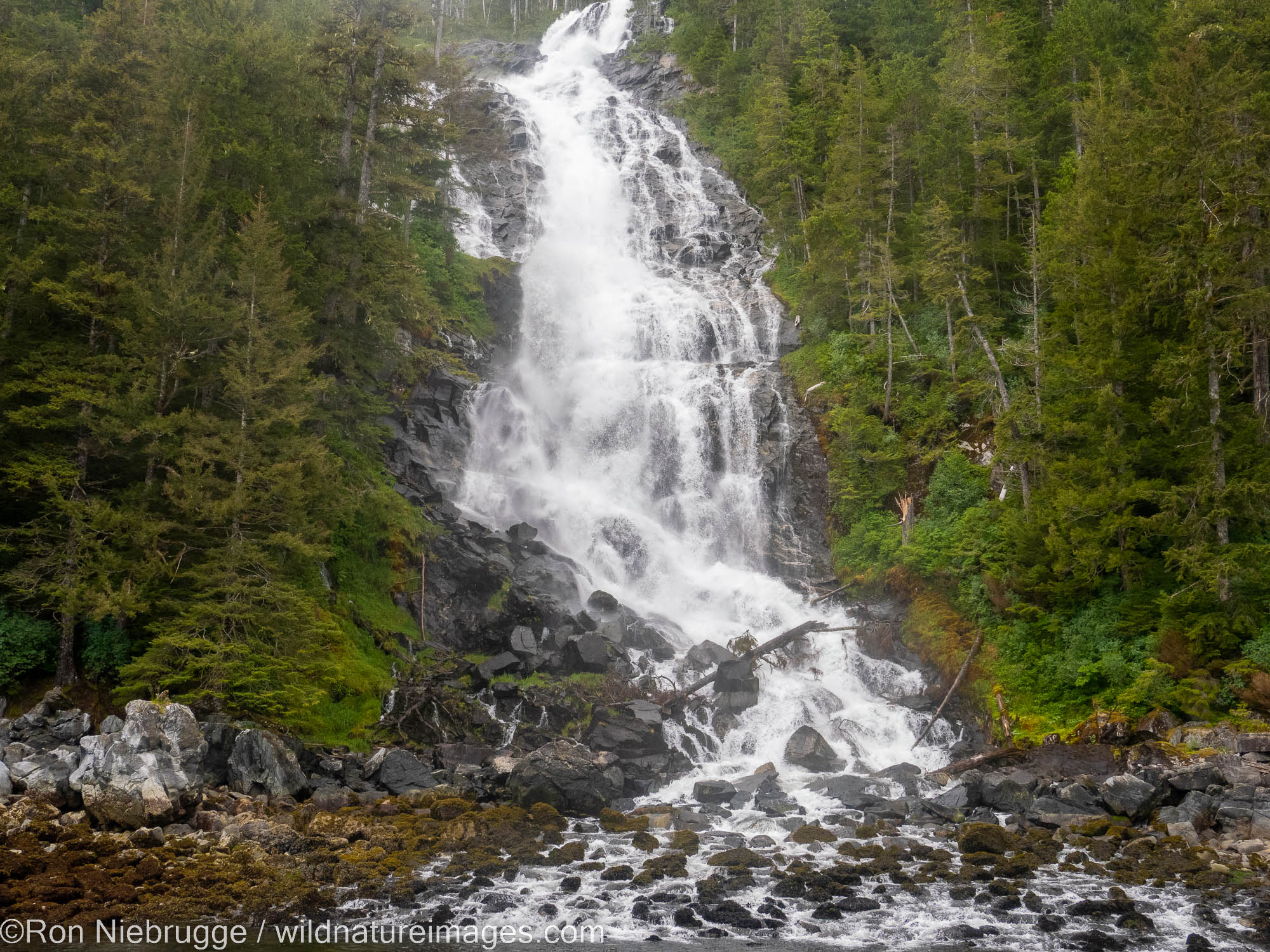 Waterfall | Tongass National Forest, Alaska | Photos by Ron Niebrugge