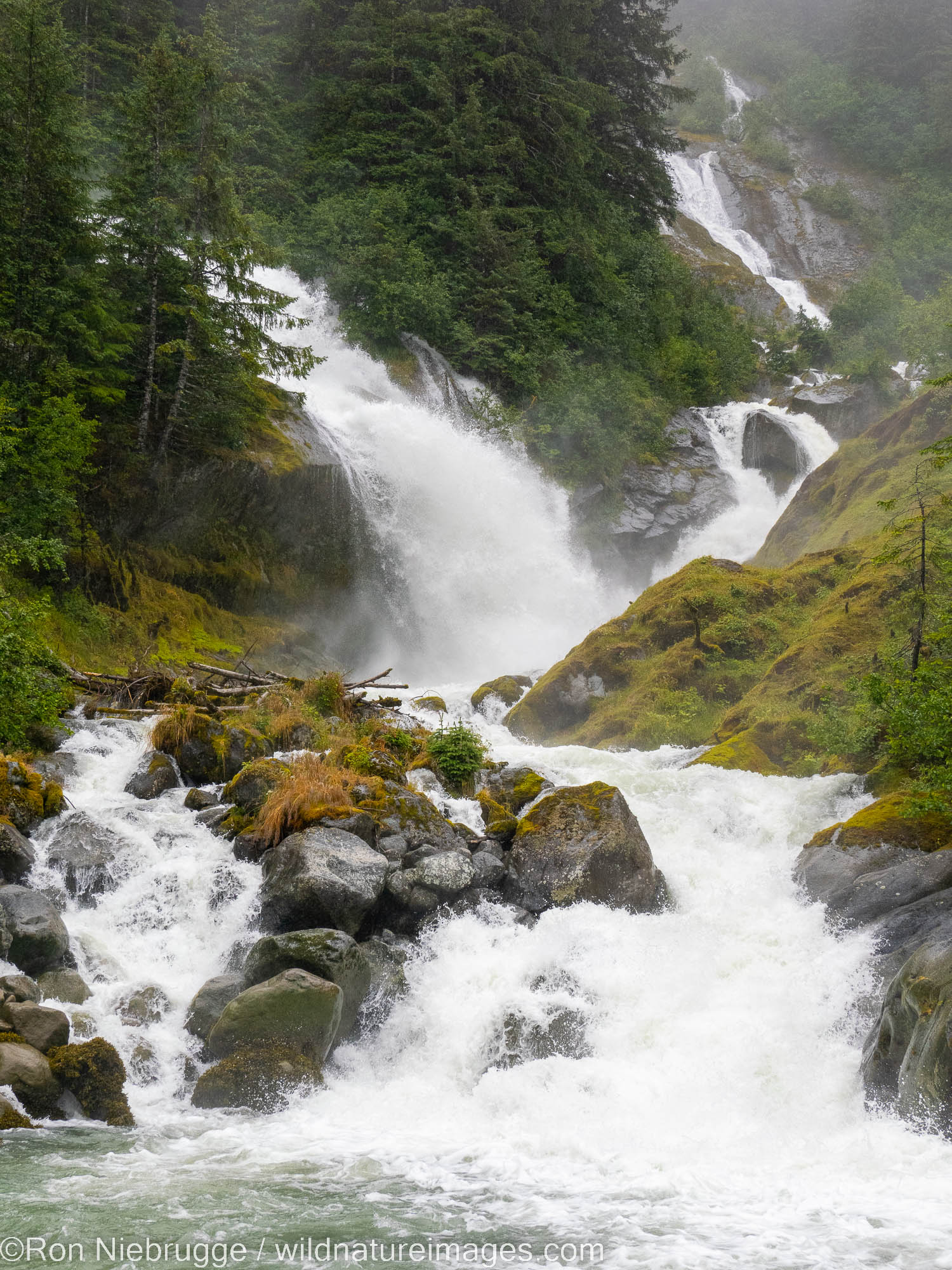 Tongass National Forest | Tongass National Forest, Alaska | Photos by ...