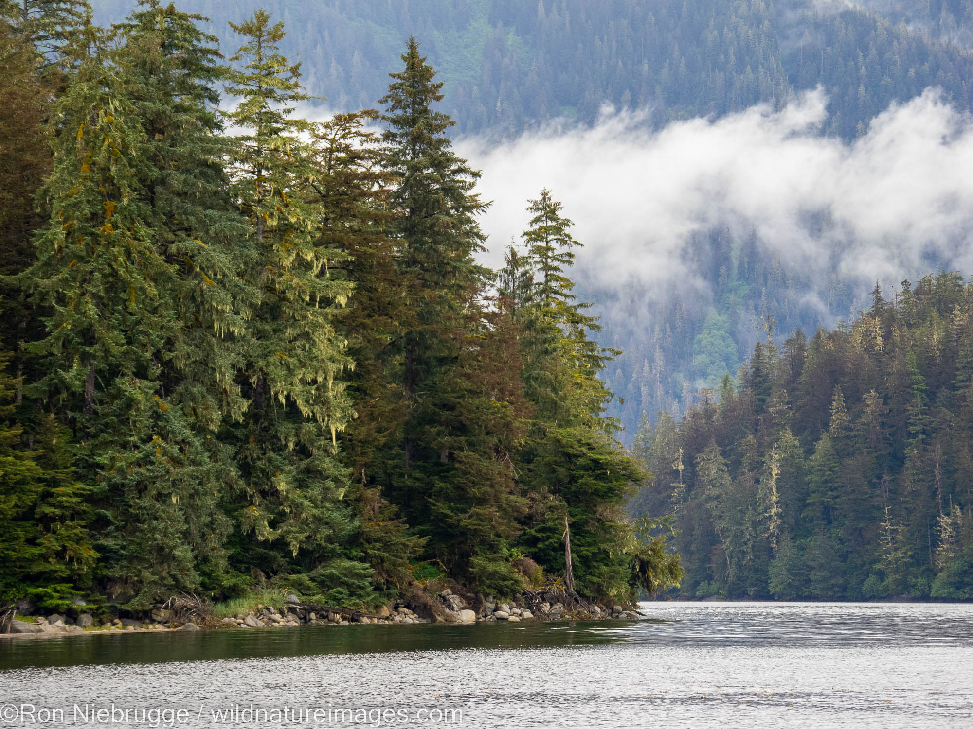 Tongass National Forest | Tongass National Forest, Alaska | Photos by ...