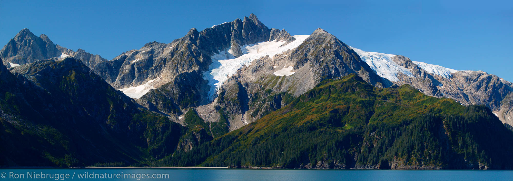 Panoramic of Aialik Bay | Photos by Ron Niebrugge