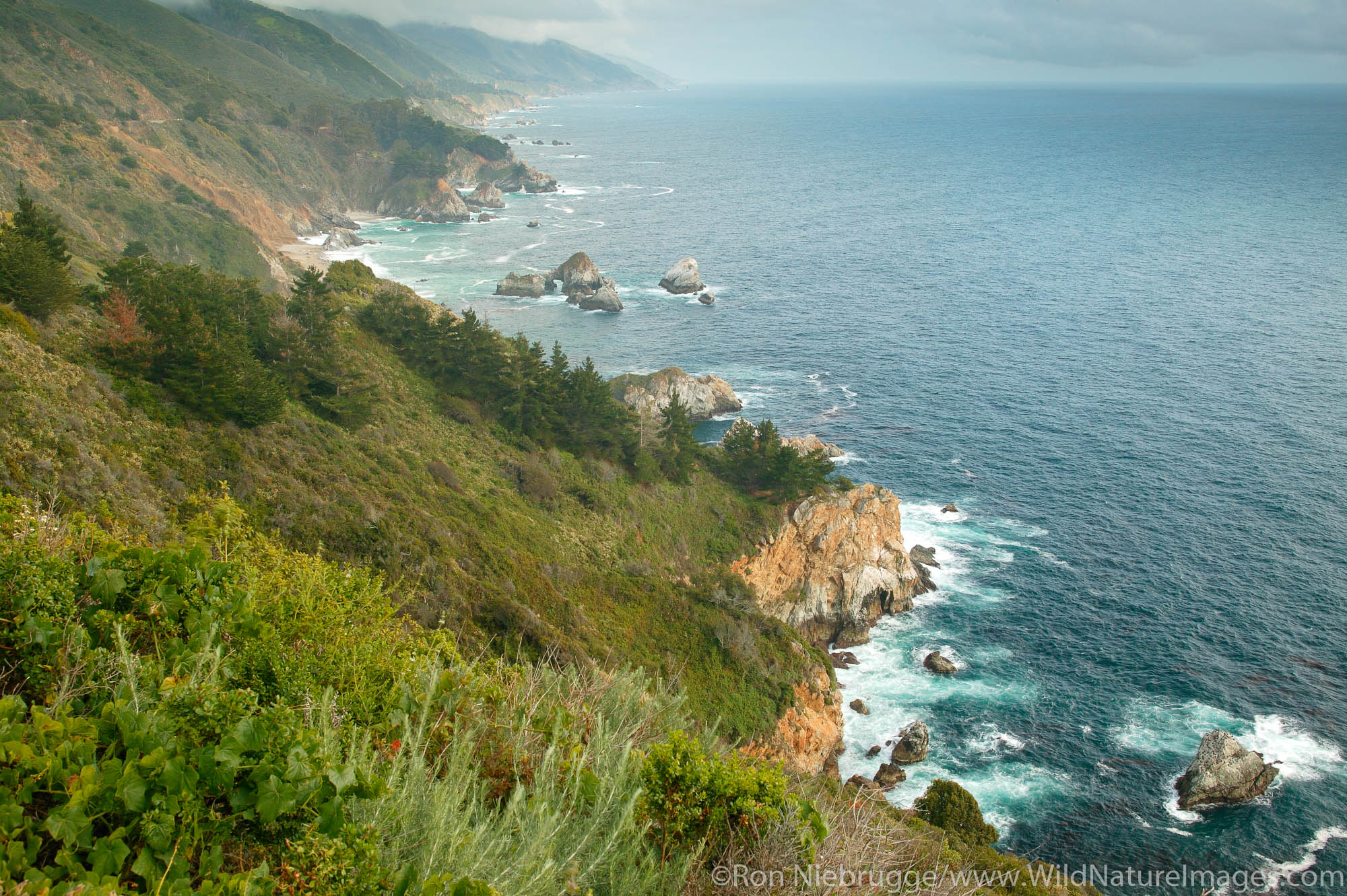 Big Sur Coast | California | Photos by Ron Niebrugge