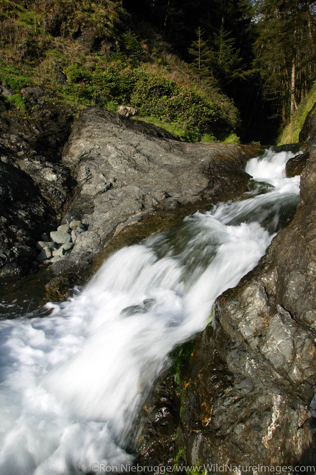 Boardman State Park | Oregon | Photos by Ron Niebrugge