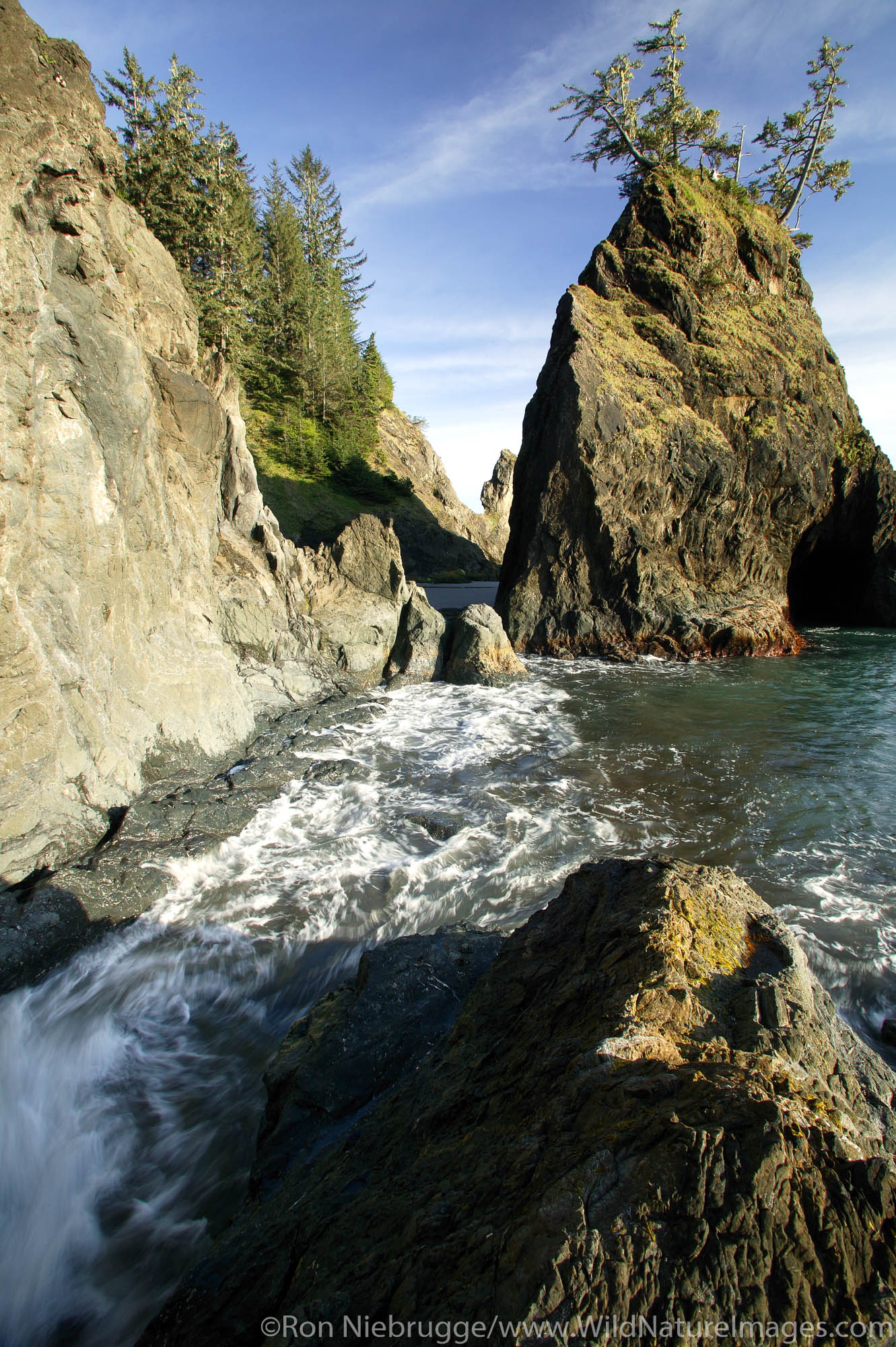 Boardman State Park | California | Photos by Ron Niebrugge