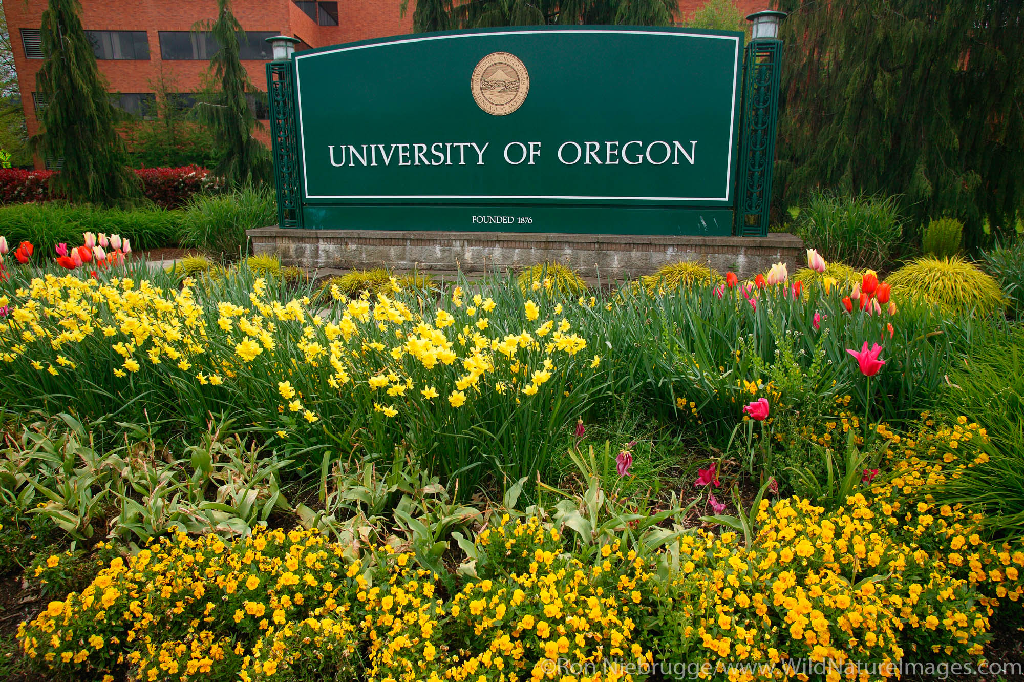 University of Oregon | Photos by Ron Niebrugge
