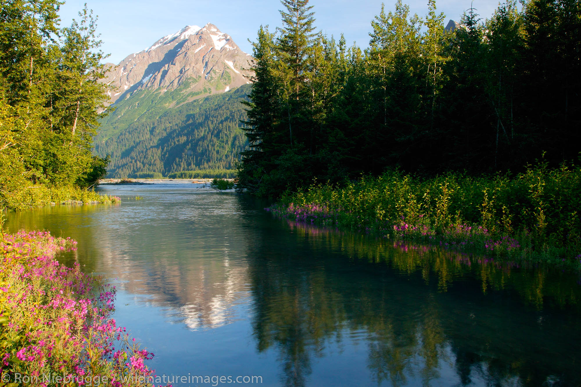 Mount Benson | Photos by Ron Niebrugge