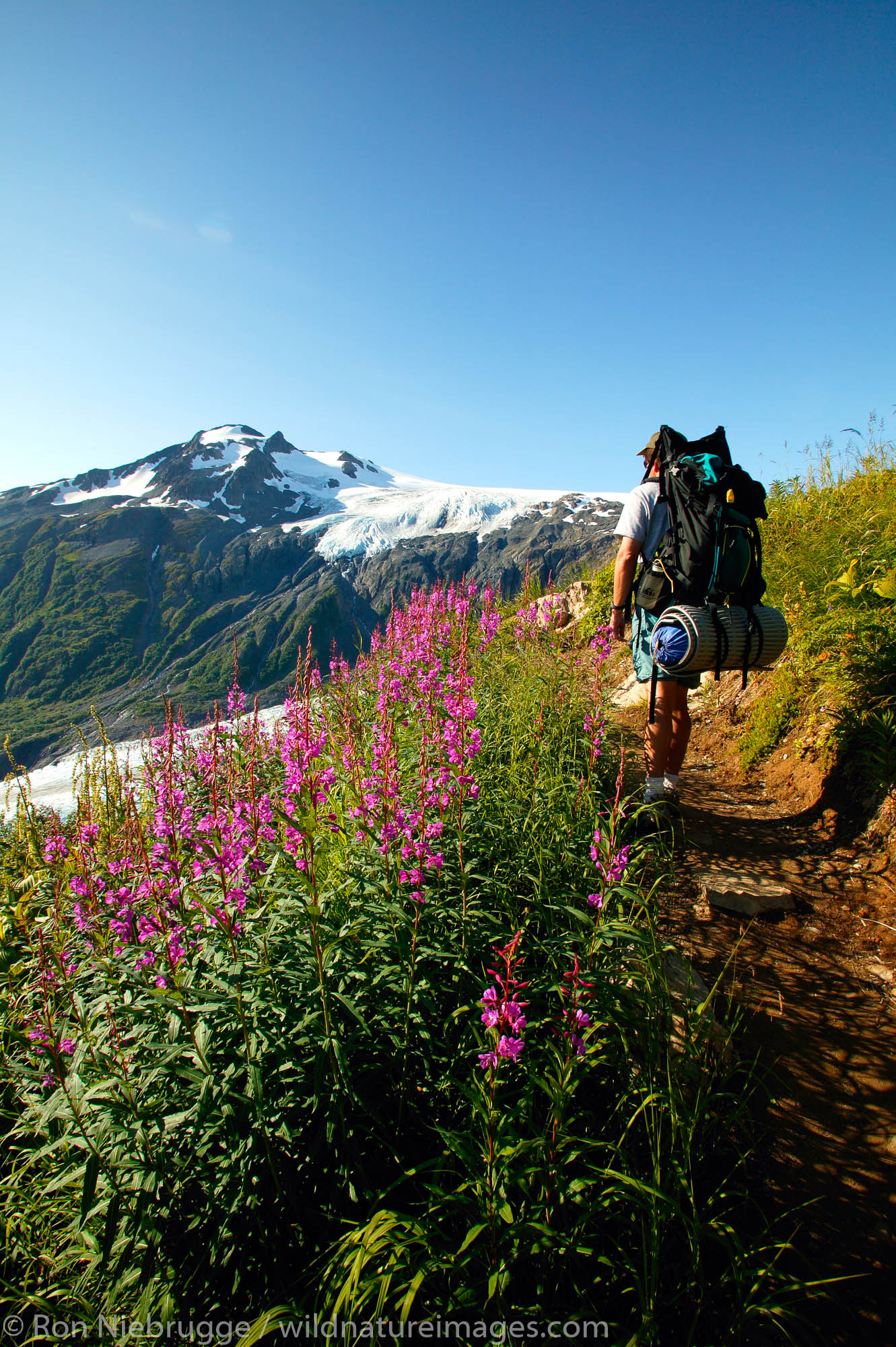Harding Icefield Trail | Alaska | Photos by Ron Niebrugge